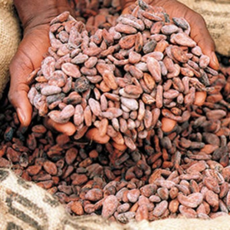 Chocolade winkel - Chocolade bestellen en Chocolade bezorgd